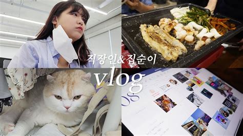 직장인 브이로그 회사에서 일 조금하고 집에서 삼시세끼 야무지게 먹는 집순이의 일상 브이로그 살림이란 무엇인가 배민없이는
