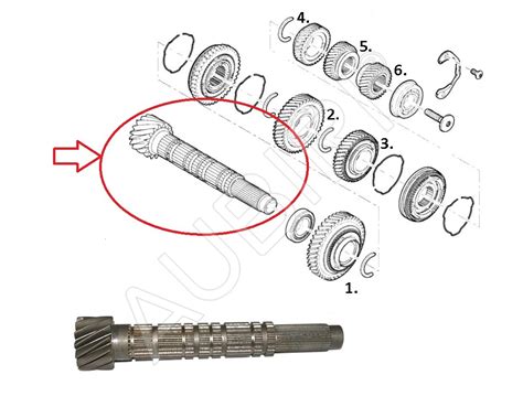 Gearbox Shaft Fiat Ducato Since 2006 2223 Secondary 1368 Teeth Psa 2316ap