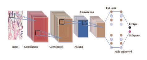 workflow of a convolutional neural network download scientific diagram