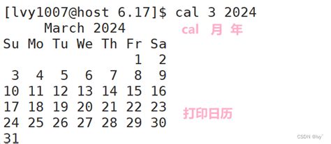 【linux命令行】从时间管理 ＞文件查找压缩的指令详解linux怎么根据时间筛选一个文件夹下的文件并且压缩成zip Csdn博客