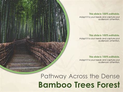 Top 10 Trees Forest Powerpoint Presentation Templates In 2025