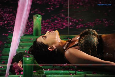 Sheena Actress Hd Photosimagespics And Stills 187869