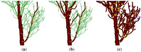 Forests Free Full Text Simpletree —an Efficient Open Source Tool To Build Tree Models From