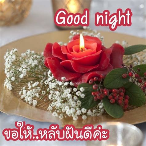 ปักพินโดย Terawan ใน Goodnight ฝันดีราตรีสวัสดิ์ ดอกไม้สีม่วง ดอกไม้สวย