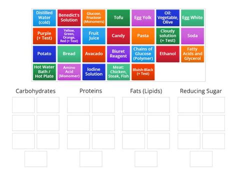 Biological Molecules Quiz Group Sort
