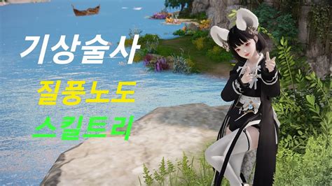 질풍노도 기상술사 스킬 트리 Youtube