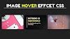 Image Overlay Hover Effects Using Html And Css