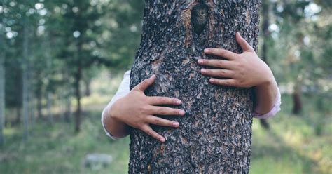 Ecosexuals Have Sex With Trees May Save Earth Doing It