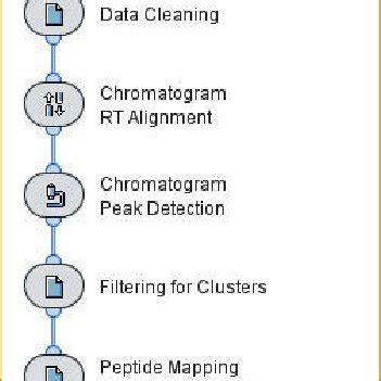 Example Of A Workflow Download Scientific Diagram