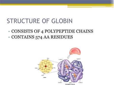 Structure Of Hemoglobin Pptx