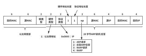 计算机网络各层数据包的封装 数据包层层封装格式 csdn博客