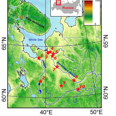 Shells Of Freshwater Bivalve Mollusks Anodonta Anatina Linnaeus Download Scientific Diagram