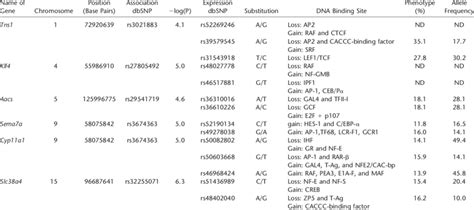 Genes With Promoter Single Nucleotide Polymorphisms Associated With Download Table