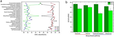A Gc Content And Codon Usage Bias Variation Among Unigenes With Download Scientific Diagram