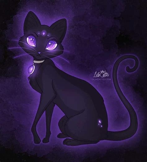 Pin On ԹմɾԹʆε Black Cat Art Anime Cat Magic Cat