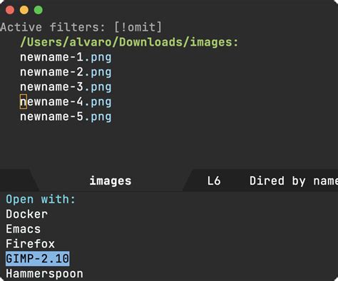 `get text property` returns `nil` and breaks `dwim shell commands macos