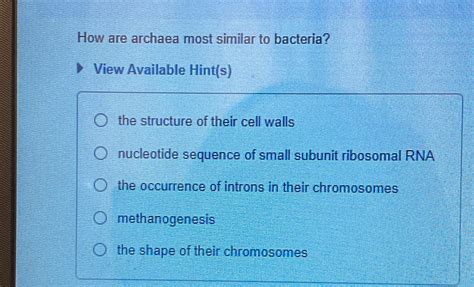 Solved How Are Archaea Most Similar To Bacteria View Chegg