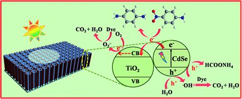Electrochemical Construction Of Hierarchically Ordered Cdse Sensitized Tio 2 Nanotube Arrays