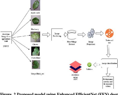 Figure 2 From Plant Disease Detection Using Enhanced Efficientnet