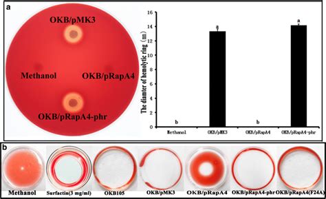 Detection Of The Hemolytic Activity A And Expelling Oil Activity B