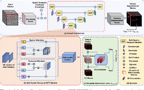 3d Mitochondria Instance Segmentation With Spatio Temporal Transformers