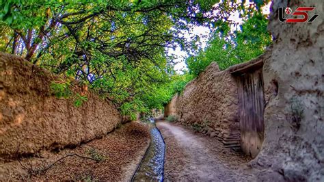 فیلم کوچه باغ‌های زیبای شهر تفت در یزد