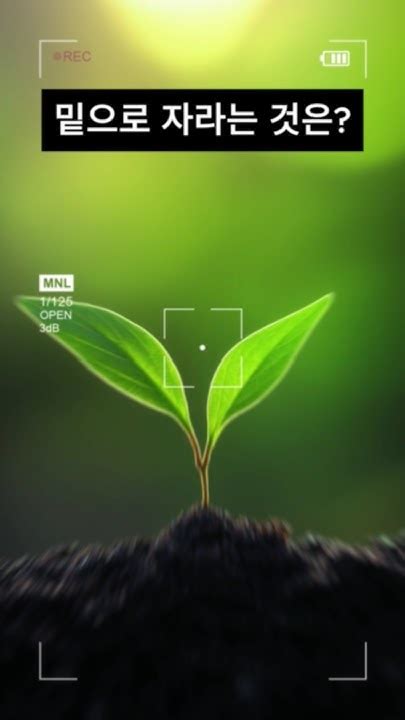 밑으로 자라는 것은넌센스퀴즈를 풀어보세요넌센스퀴즈 Ai 아재개그 아재개그모음 개그배틀 언어유희 메모리 말장난 웃긴영상 챗gpt 인공지능 Youtube