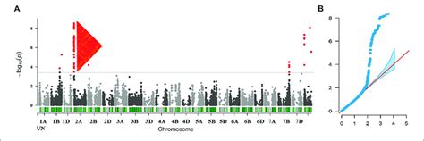 A Manhattan Plot Displaying Snp Marker Trait Association Identified