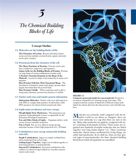 Pdf The Chemical Building Blocks Of Life
