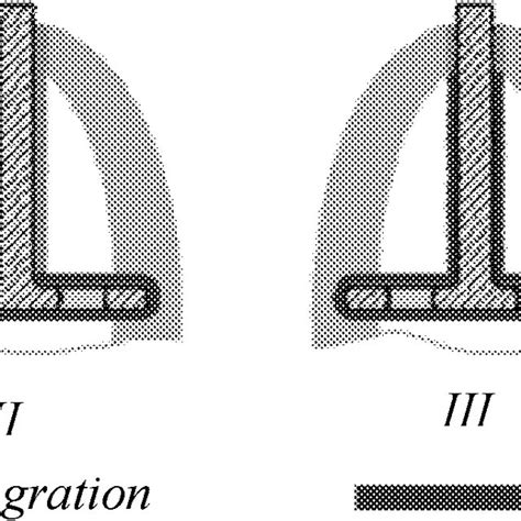 Osseointegration Degrees Download Scientific Diagram