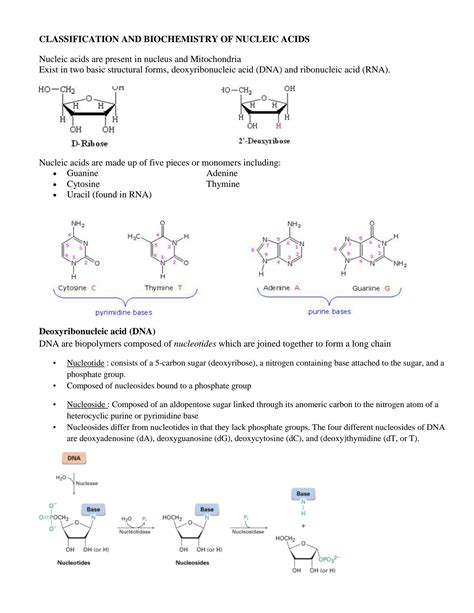 SOLUTION Lecture Nucleic Acids Dna Stucture Studypool