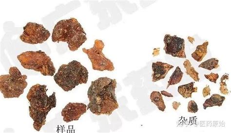 带你识别没药 知乎