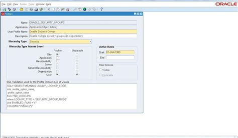 My Oracle World How To Assign Security Profile To A User In Oracle HRMS