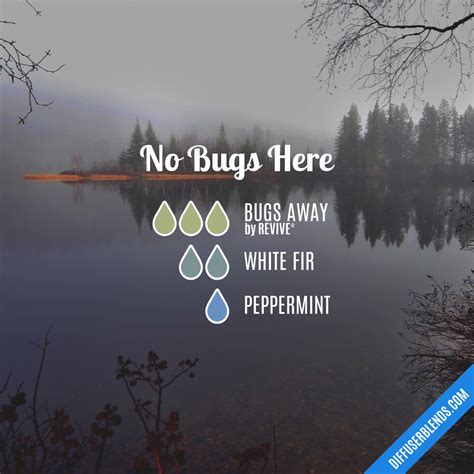 No Bugs Here