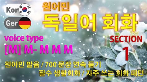 독일어 회화 Type M M M M M Section 1 원어민 발음 짧고 쉬운 독일어 700문장 연속 듣기