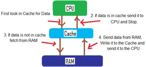Computer Science Different Types Of Memory Flashcards Quizlet