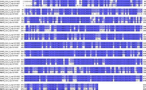sequence alignment using clustal omega sievers et al 2011 and