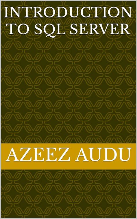 introduction to sql server ebook audu azeez kindle store