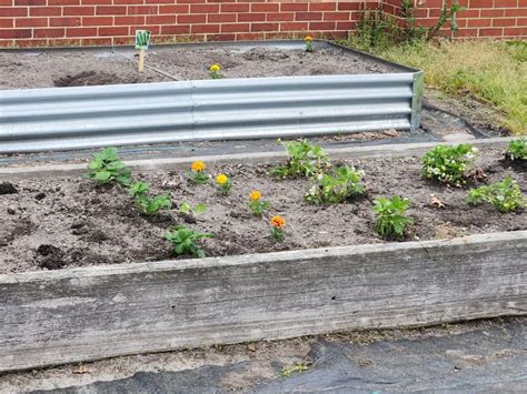 Christopher Rogers Csc Ccnp Cmp Cdm Cfpp On Linkedin I Know Its