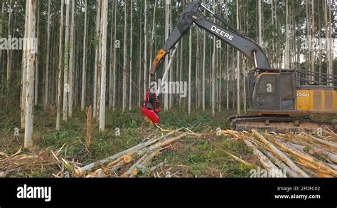 Tree Harvester Stock Videos And Footage Hd And 4k Video Clips Alamy