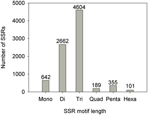 the distribution of ssr motif length download scientific diagram