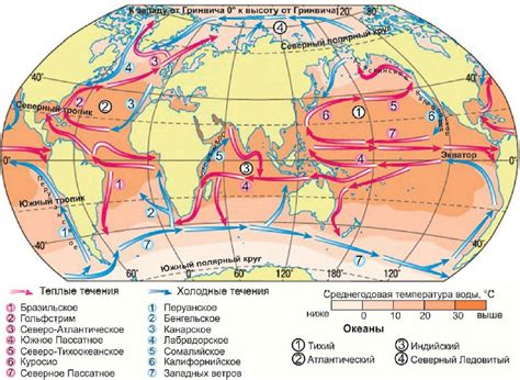 Проанализируйте физическую и политическую карты мира и определите берега каких стран омывают