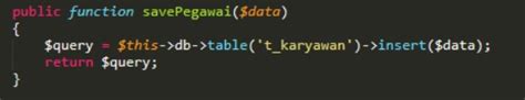Penjelasan Query Input Pada Codeigniter 4