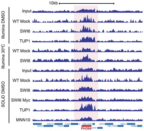 Example Of High Background Signal Across Multiple Datasets Sequencing
