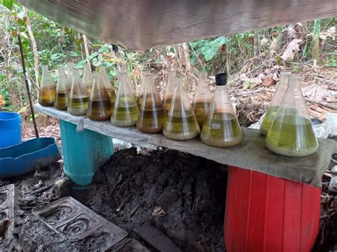 Nuevo Golpe Contra El Procesamiento De Sustancias Ilícitas Destruyen Laboratorio De Cocaína En