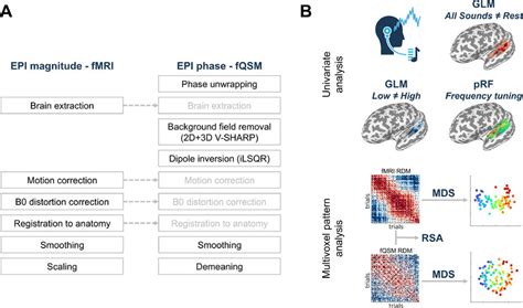 graphical summary of the reconstruction and preprocessing pipelines