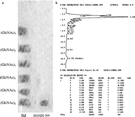 Tlc A And Hplc Profile B Analysis Of Hydrolytic Products Of Chitin