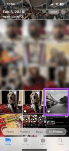 How To Quickly Rotate An Image On Mobile And Computer Guiding Tech