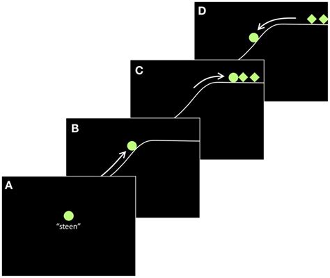 Example Of An Incongruent Stimulus Item In Experiment 1 With The Download Scientific Diagram