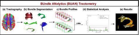 buan tractometry pipeline a whole brain tractograms are